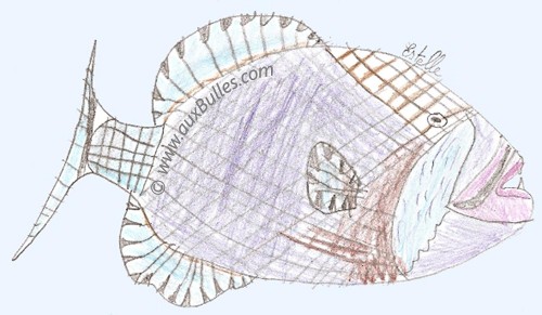 Bio marine, les poissons, le baliste titan