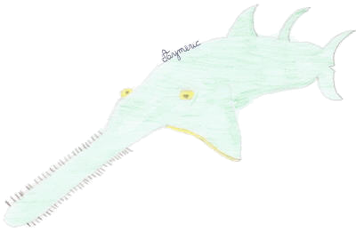 La flore et la faune sous-marines : Poisson scie sawfish